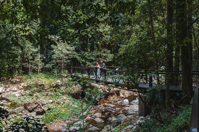 Springbrook andTamborine Rainforest Tour Incl Natural Bridge and Glow Worm Cave - Who Will Love This Tour?