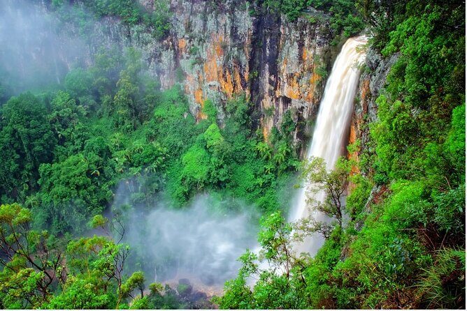 Springbrook Waterfalls & Natural Bridge Tour from Gold Coast - A Complete Look at the Springbrook Waterfalls & Natural Bridge Tour from Gold Coast