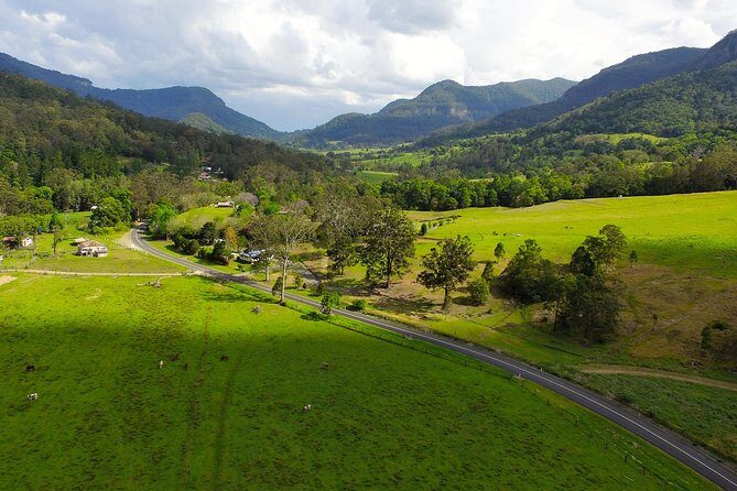 Springbrook Waterfalls & Natural Bridge Tour from Gold Coast - Who Might Want More?