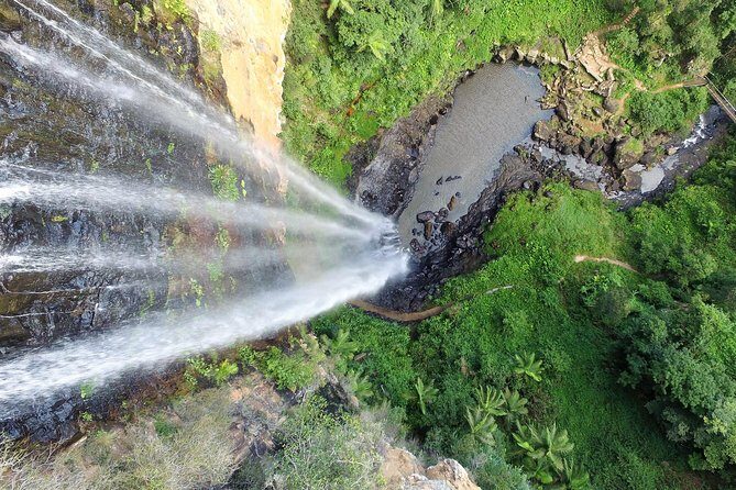 Springbrook Waterfalls & Natural Bridge Tour from Gold Coast - Final Thoughts