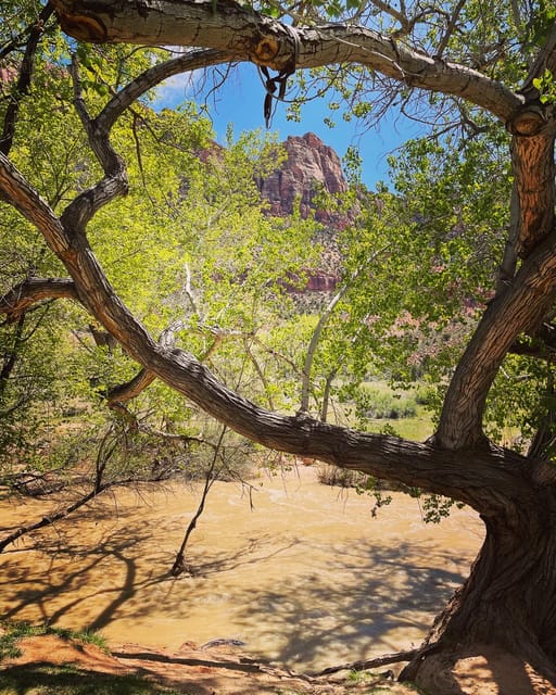 Springdale: Guided eBike Tour in Zion National Park - Final Thoughts