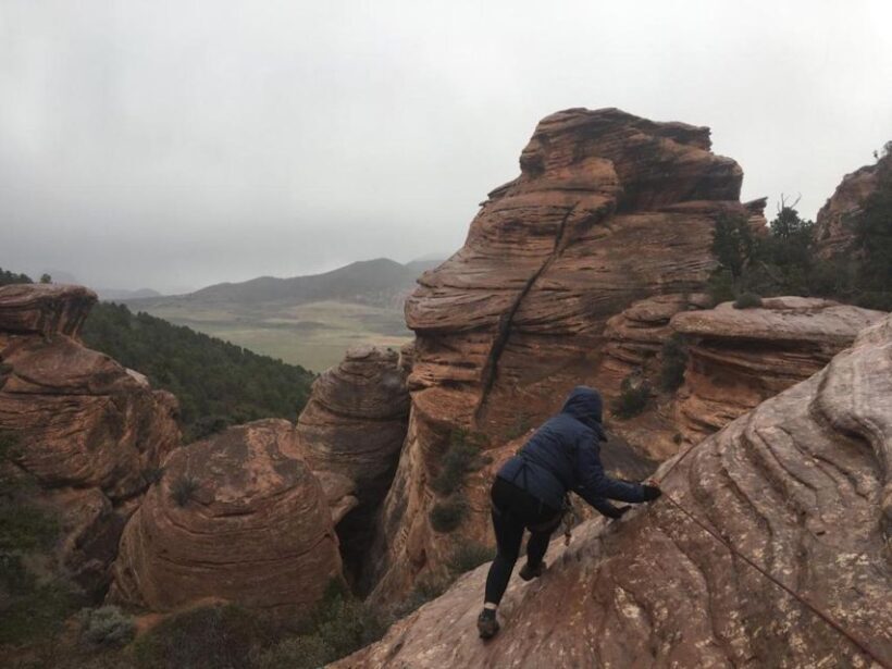 Springdale: Half-Day Canyoneering Experience - What Makes This Canyoneering Tour Special?