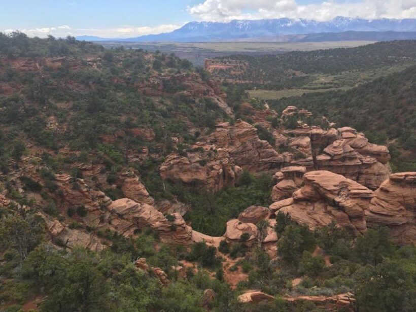Springdale: Half-Day Canyoneering Experience - Equipment and Safety