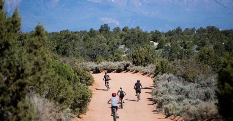 Springdale: Half-Day Mountain Biking Adventure - What You Can Expect on the Trail