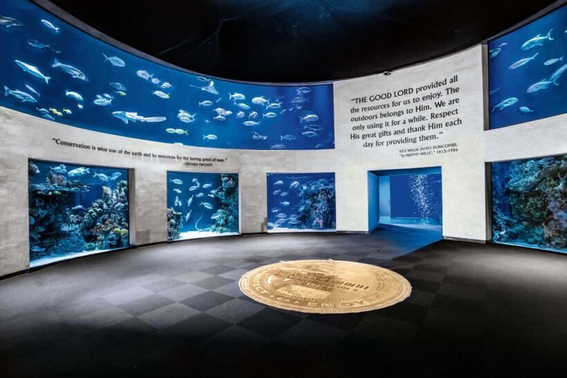 Springfield: Wonders of Wildlife National Museum & Aquarium - A Closer Look at What to Expect