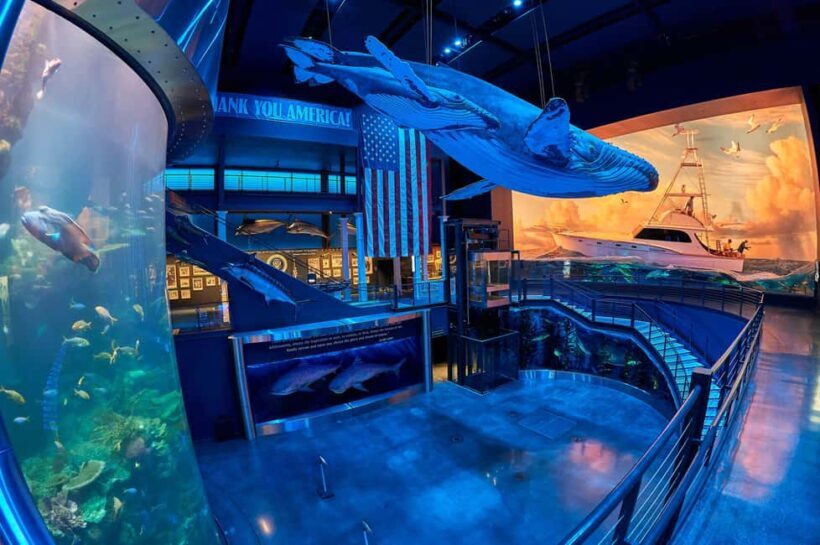 Springfield: Wonders of Wildlife National Museum & Aquarium - Final Thoughts