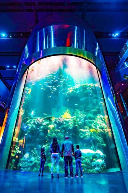 Springfield: Wonders of Wildlife National Museum & Aquarium - FAQ