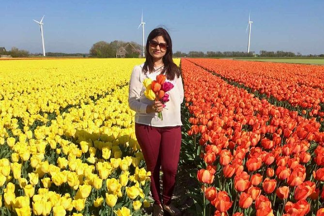 Springtime Private Tour to Keukenhof, Tulip Fields and Windmills - Windmill Visits