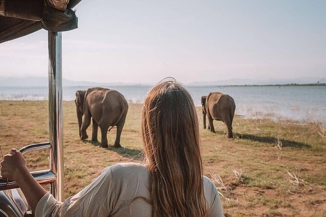 Sri Lanka 03 night 04 days budget tour package - FAQ