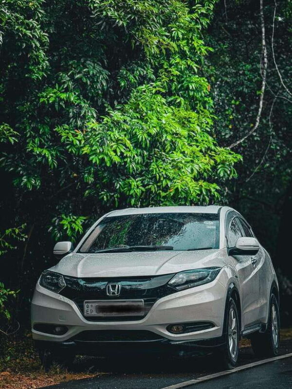 Sri Lanka: 10-Day Luxury Tour with guide - Final Thoughts: Who Should Consider This Tour?