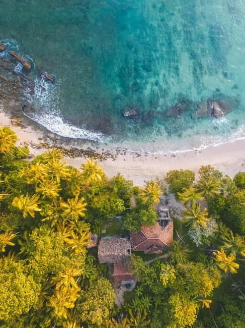 Sri Lanka: 10-Day Private Tour with 4*, Half-Board Hotels - Day 3 & 4: Kandy & Hill Country