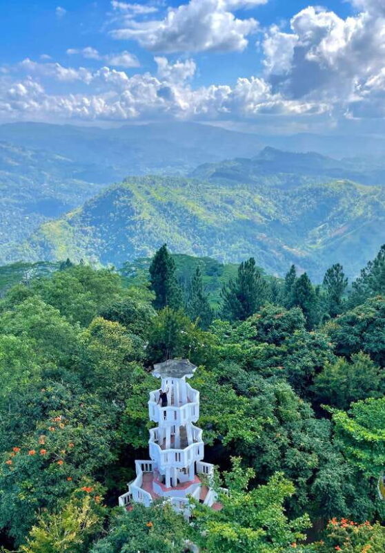 Sri Lanka: 10-Days Private Guided Tour - Key Points