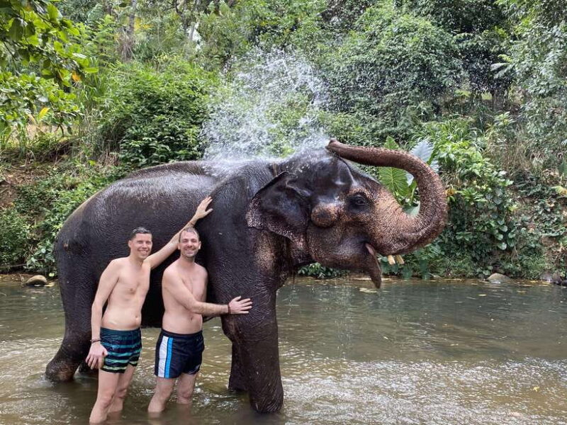 Sri Lanka: 10-Days Private Guided Tour - Exploring the Itinerary: A Day-by-Day Walkthrough