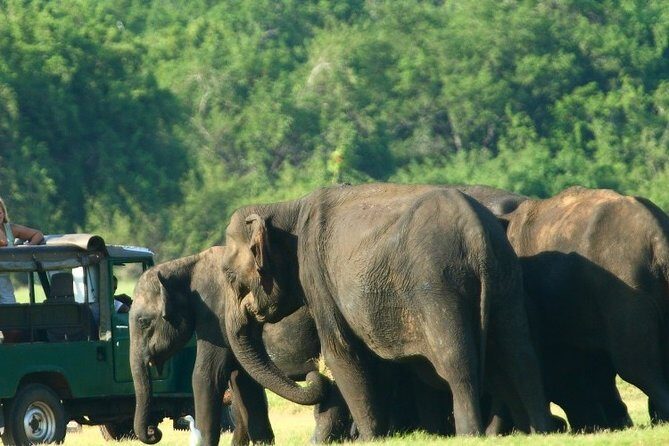 Sri Lanka 10 Days Tour Package Lifetime Experience - FAQ