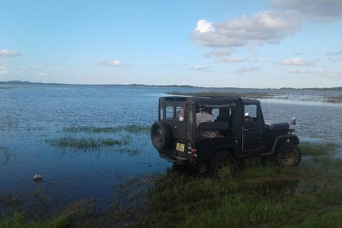 Sri Lanka 11 Days with Driver and Vehicle (Customizable) - Authentic Travel, Strong Reviews, and Practical Details