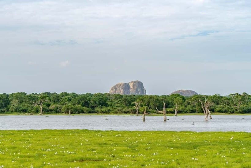 Sri Lanka 12-Day Private Round Tour; Car, Guide, Hotel, Food - What Makes This Tour Stand Out?