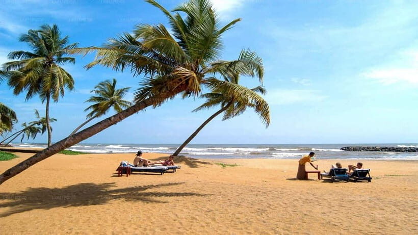 Sri Lanka 14-Day Journey: Culture, Nature & Adventure - Key Points