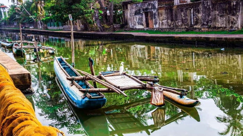 Sri Lanka 14-Day Journey: Culture, Nature & Adventure - Value and Pricing
