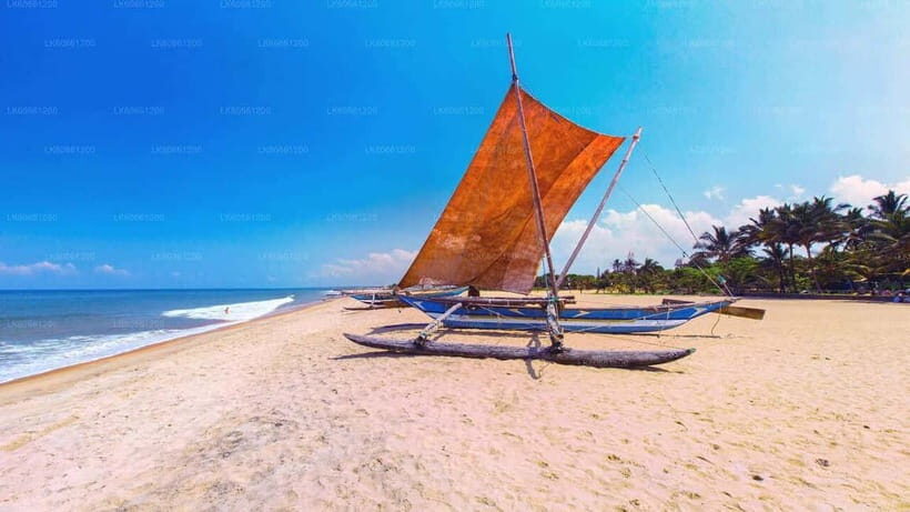 Sri Lanka 14-Day Journey: Culture, Nature & Adventure - Who Is This Tour Best For?