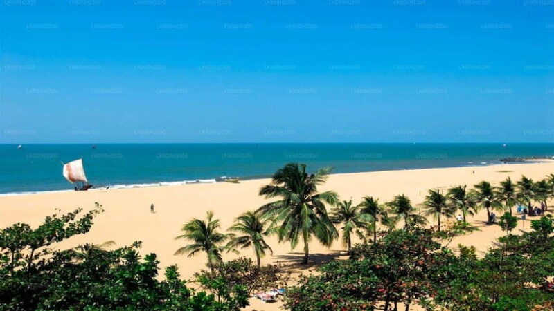 Sri Lanka: 15-Day Grand Tour With Vacation Time - Kandy and Cultural Riches