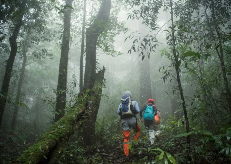 Sri Lanka 2-Day National Parks Trip, Hotel, Transport, Guide - Frequently Asked Questions