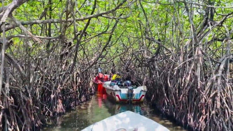 "Sri Lanka 2-Day Tour: Explore Hikkaduwa, Galle & Yala" - The Yala Safari: Wild Encounters at Dawn