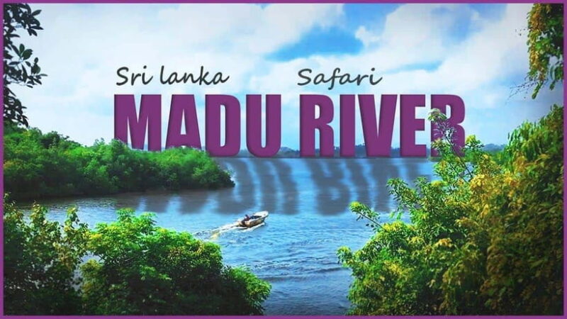 "Sri Lanka 2-Day Tour: Explore Hikkaduwa, Galle & Yala" - Accommodation and Practical Details