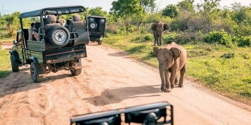 Sri Lanka: 2-Day wildlife tour; rainforest and National park - Authentic Experiences and Highlights