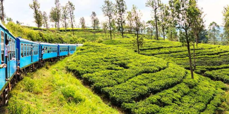 Sri Lanka: 2-Day wildlife tour; rainforest and National park - Who Should Consider This Tour?