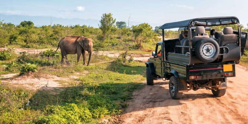 Sri Lanka: 2-Day wildlife tour; rainforest and National park - FAQs