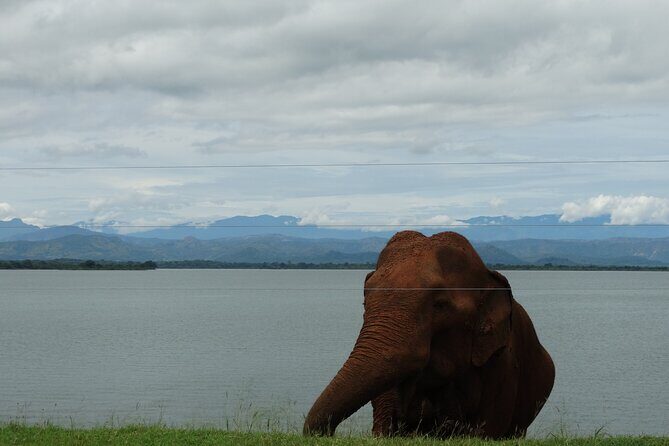 Sri-Lanka - 2 Days Galle Tour from Colombo by Train - What Makes This Tour Stand Out