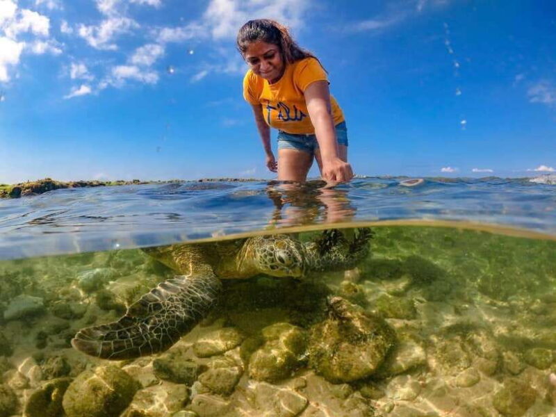 Sri Lanka: 3-Day 2night South Coast Tour with Whale Watching - Key Points