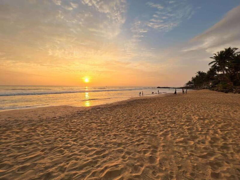 Sri Lanka: 3-Day 2night South Coast Tour with Whale Watching - Day 2: Whale Watching & Mirissa Beach