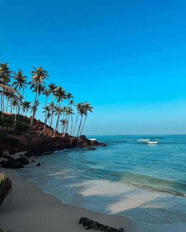 Sri Lanka: 3-Day 2night South Coast Tour with Whale Watching - Who Will Love This Tour?