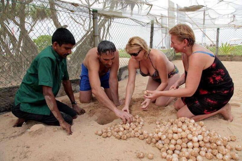 Sri Lanka: 3-Day 2night South Coast Tour with Whale Watching - FAQ