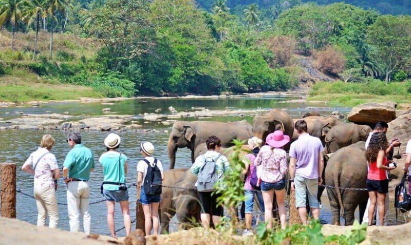 Sri Lanka: 3-Day Hill Country Experience with train trip - Key Points