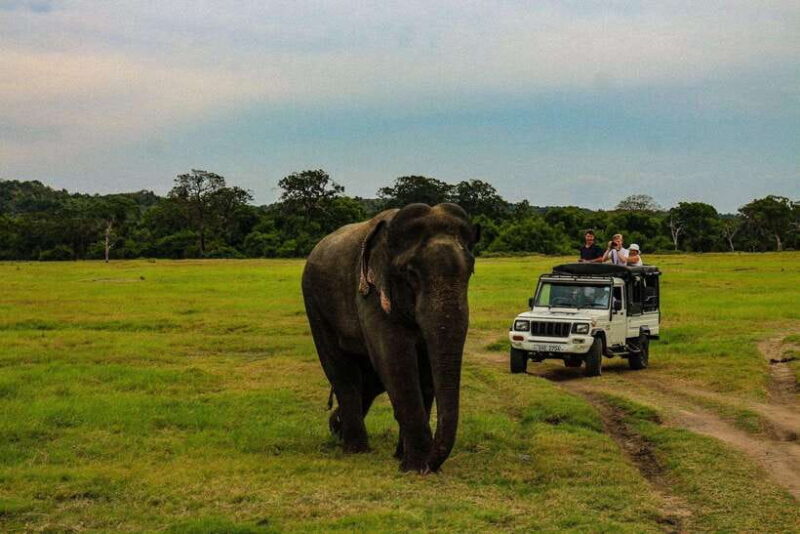 Sri Lanka: 3-Day Hill Country Experience with train trip - Final Thoughts