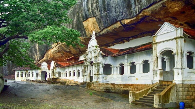 Sri Lanka 3-Day Tour:Explore Sigiriya Kandy and Nuwara Eliya - Who Will Love This Tour?