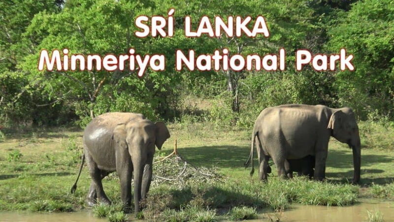 Sri Lanka 3-Day Tour:Explore Sigiriya Kandy and Nuwara Eliya - FAQ