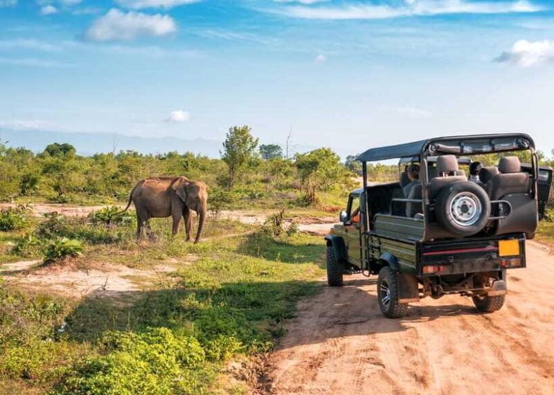 Sri Lanka: 4-Day Private Tour Focusing on Cultural Triangle - The Journey’s Value: What’s Included and What Comes Extra