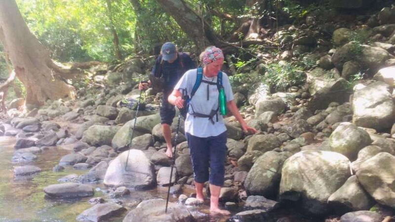 Sri Lanka: 4-day tour Ancient Ruins, Wildlife, Hill Country - Key Points