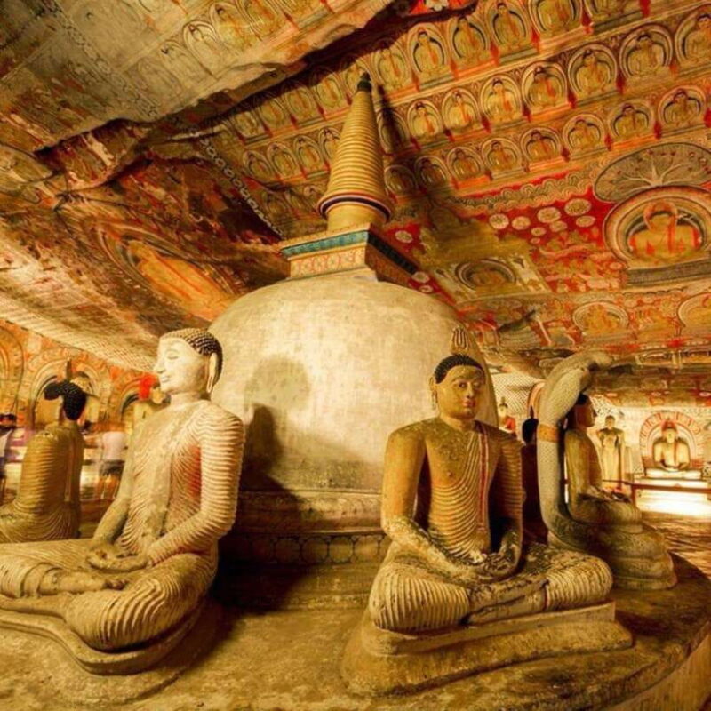 Sri Lanka: 5-Day Cities and Nature Round Tour from Colombo - What’s Included and What’s Not