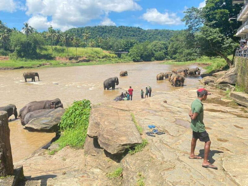 Sri Lanka: 5-Day Cities and Nature Round Tour from Colombo - The Sum Up