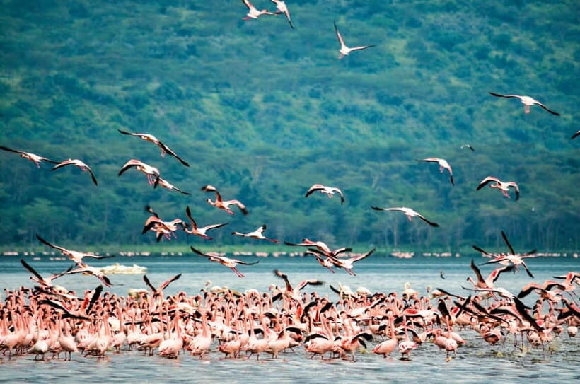 Sri Lanka 5-Day Private Country Side Tour Car, Hotels, Food - Key Points