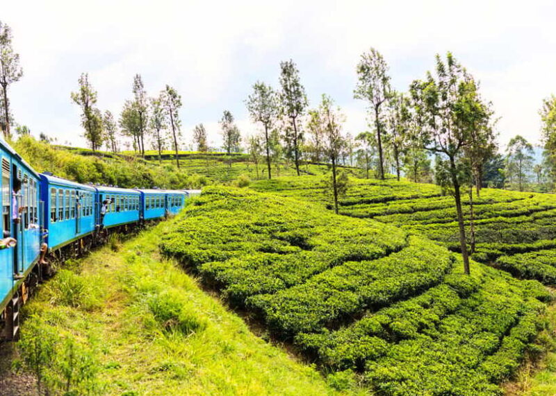 Sri Lanka 5-Day Private Country Side Tour Car, Hotels, Food - The Practical Side: Travel Logistics, Value, and Tips