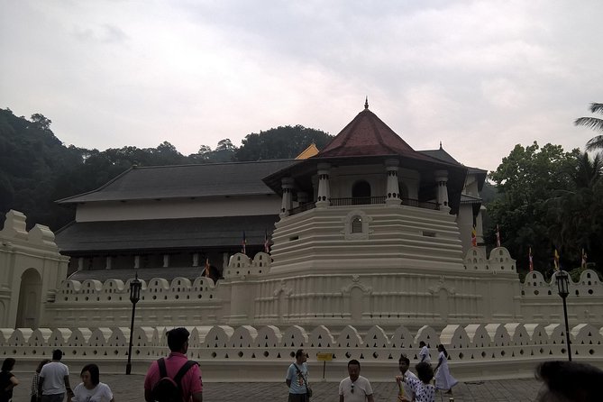 Sri Lanka 5 Day Privet Tour - How This Tour Balances Value and Experience