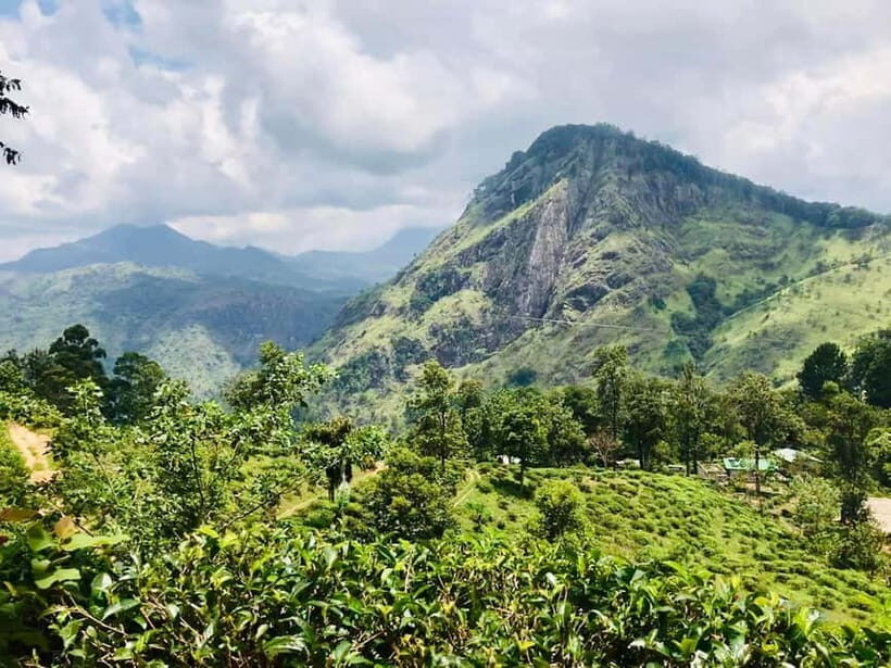 Sri Lanka 5 Days Private Tour with 15 Scenic Places - Final Thoughts: Is This Tour Worth It?