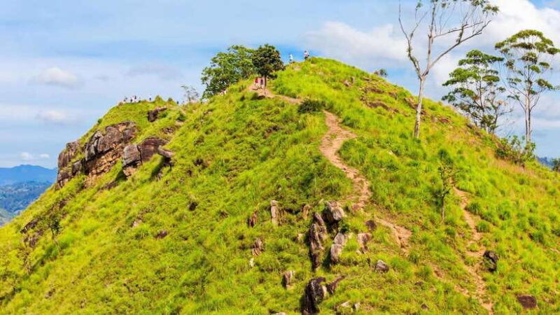 Sri Lanka: 6-Day Luxury Honeymoon Tour - A Detailed Breakdown of the Itinerary