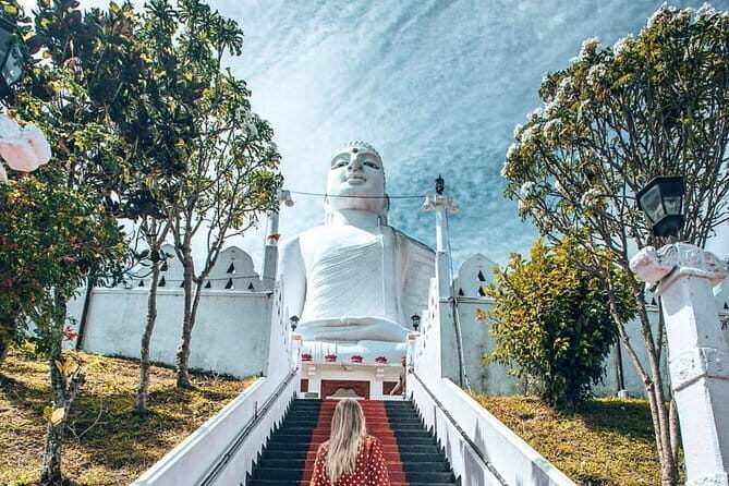 Sri Lanka 7 Day Tour | All Inclusive - Who Would Enjoy This Tour?