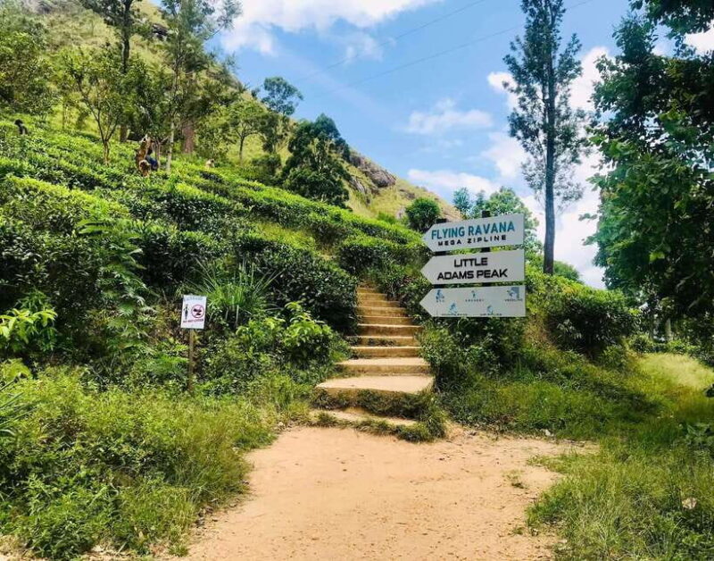 Sri Lanka: 9-Day Private Round Tour With H/B Accommodation - FAQs